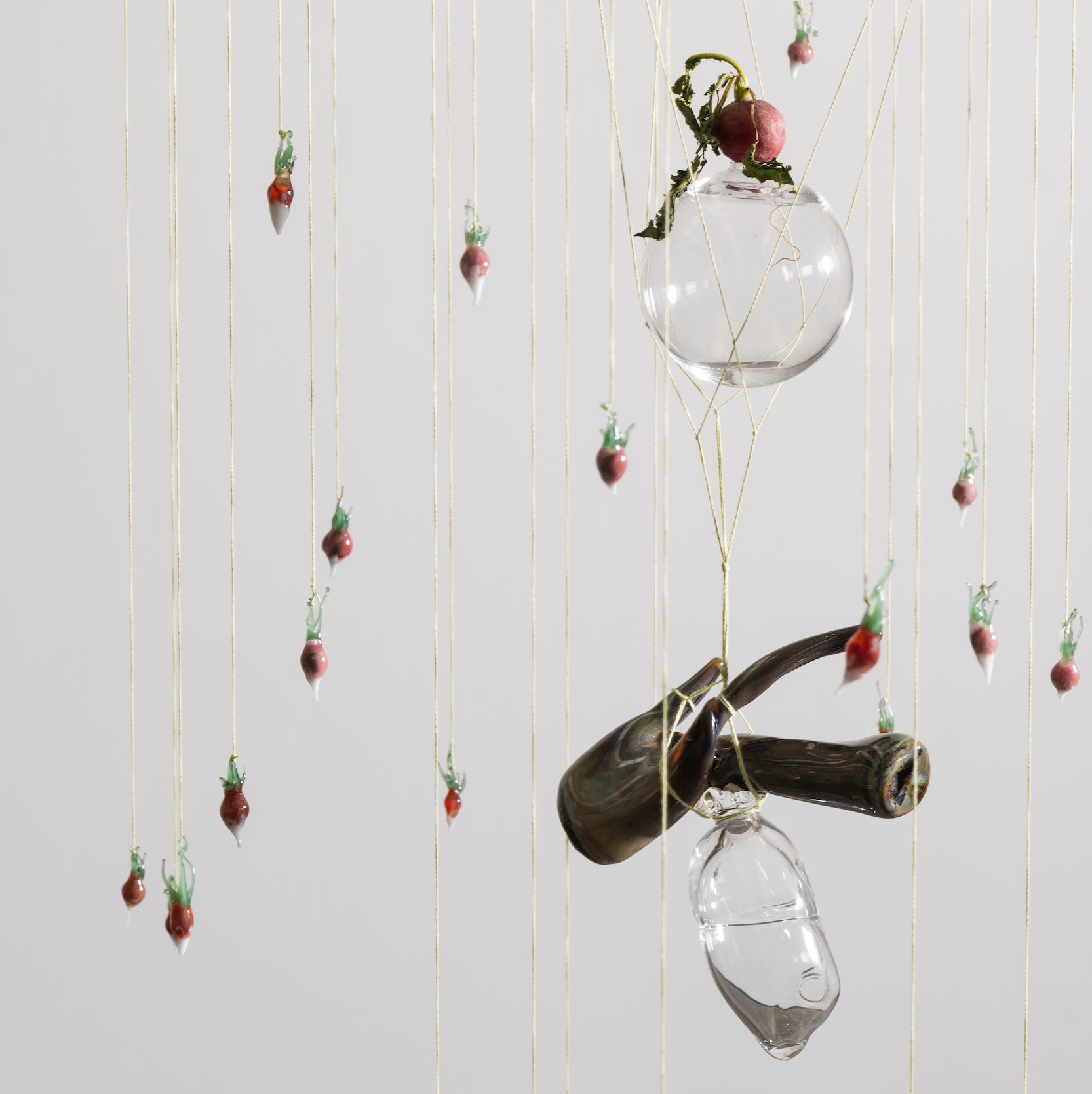 Studio Stories: Interdisciplinary Artist Portia Scabar